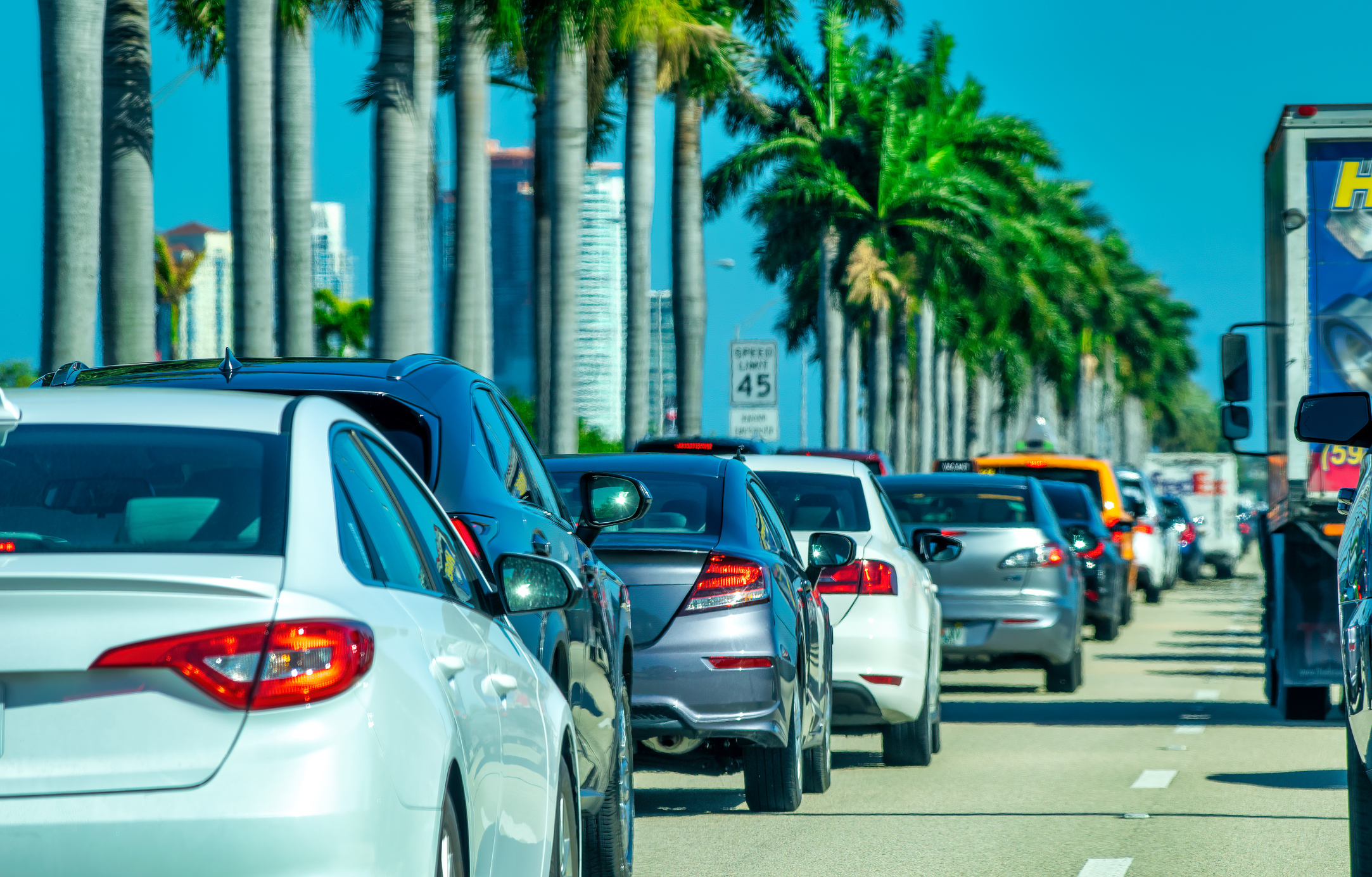 Naples & Fort Myers Vehicle Accident Lawyers | Cardinal Law | Cardinal Law